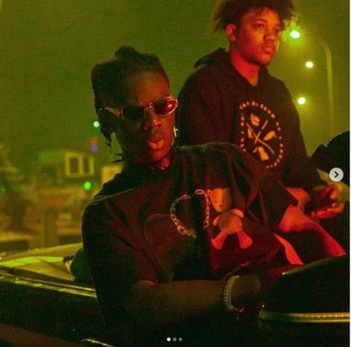 I Would Love To Have A Bat As A Pet - Rema Makes Shocking Revelation